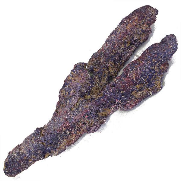 CaribSea Life Rock Shapes & Branch | Fresh N Marine