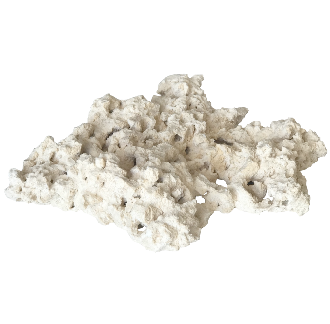 MacroRocks Foundation Rock - One side flat cut rock (per kg) | Fresh N ...