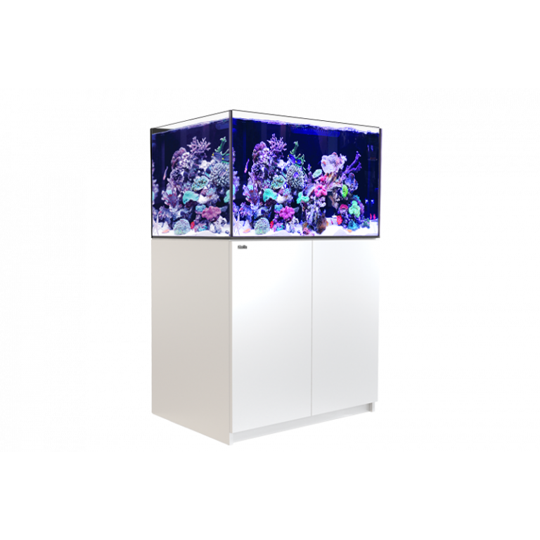 Red Sea REEFER G2+ 300 System 65 Gallon | Fresh N Marine